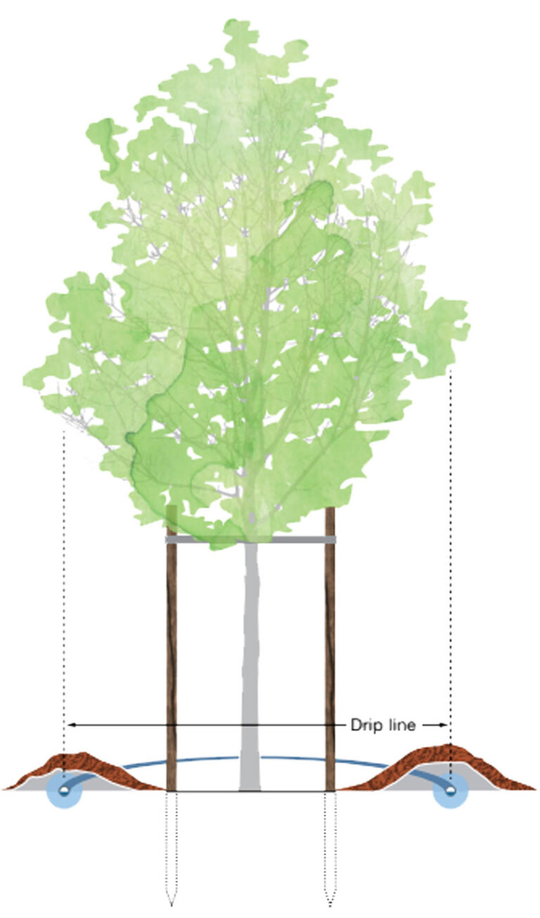 Streets and Landscape Maintenance – City of Fresno