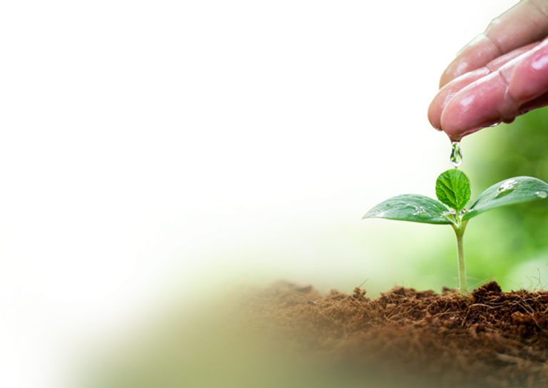 Expanded Lawn to Garden Program – City of Fresno